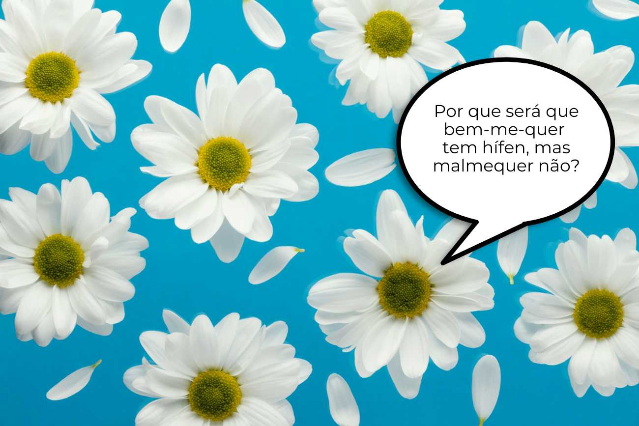 Bem-me-quer, malmequer: o papel do hífen na nova regra ortográfica